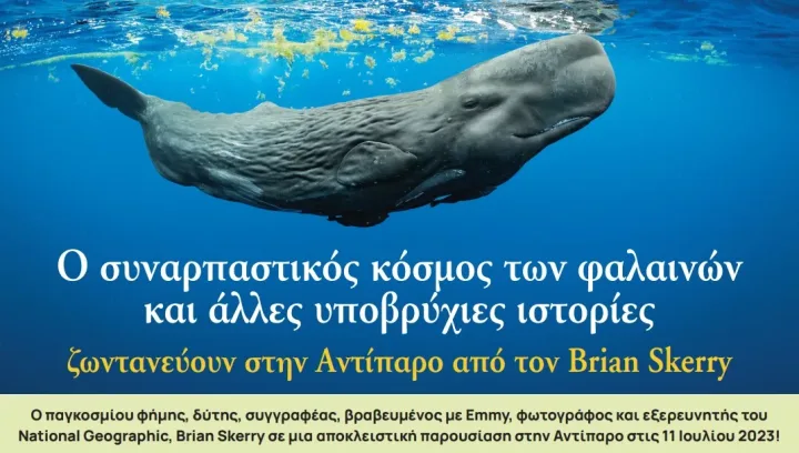 Ο συναρπαστικός κόσμος των φαλαινών και άλλες υποβρύχιες ιστορίες του ...